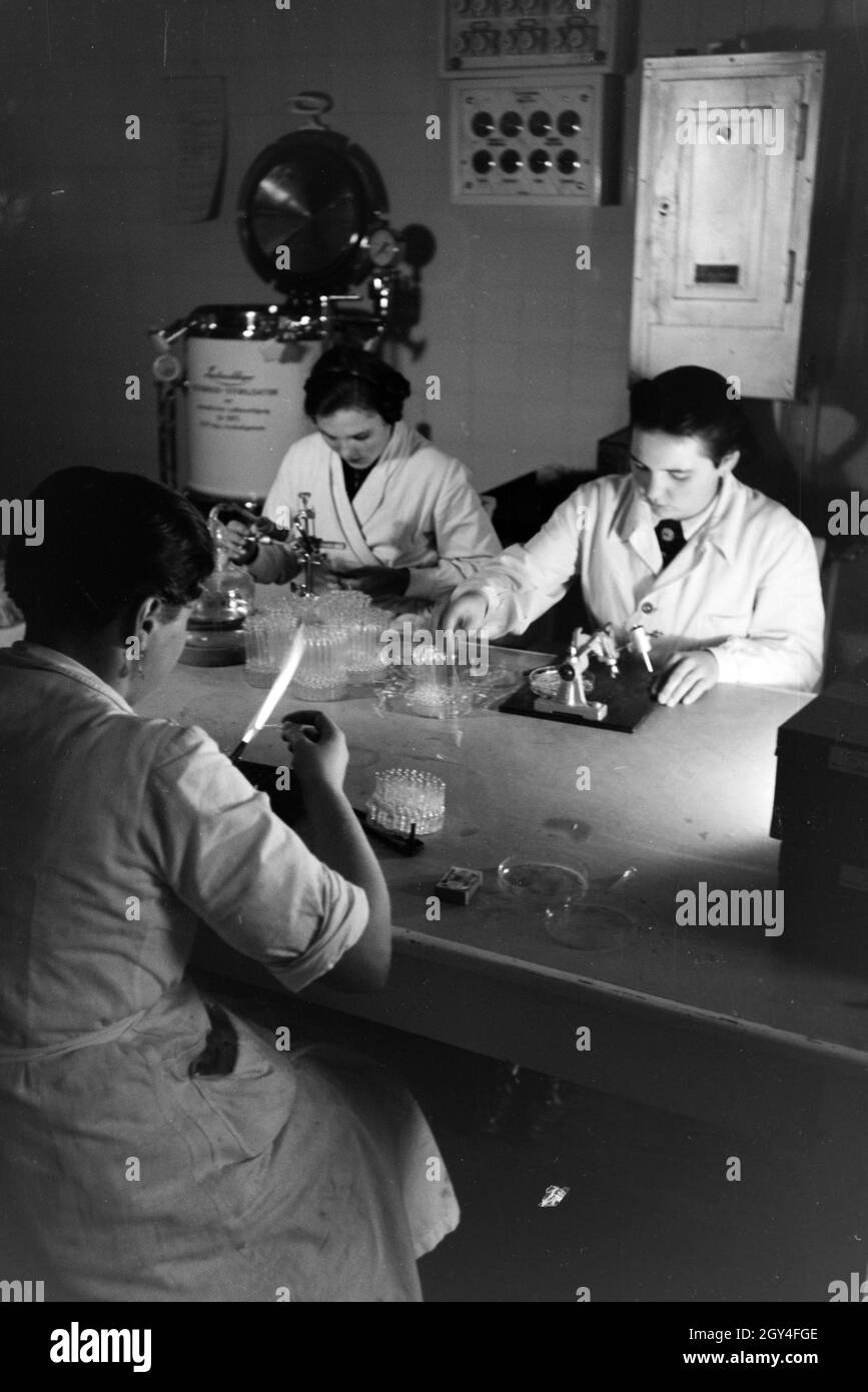 Laboranten untersuchen eingesammeltes Bienengift mithilfe von ...