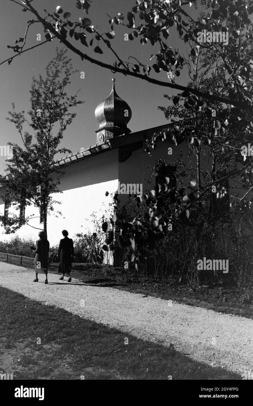 Two bulbous Black and White Stock Photos & Images - Alamy