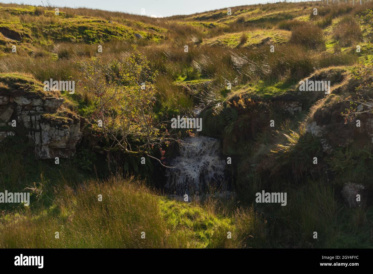 small waterfall on a moorland stream, Northumberland, UK Stock Photo ...