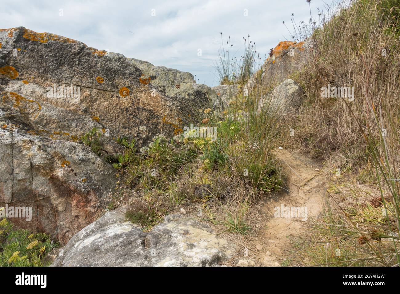 Monteferro vigo hi-res stock photography and images - Alamy