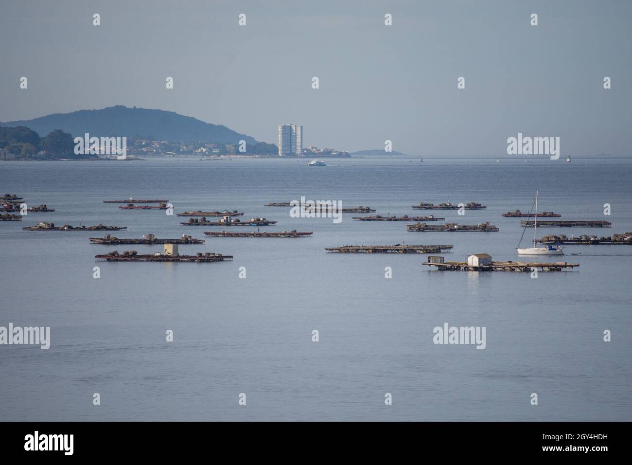 Ria de Vigo Estuary, with mussel farms in front, Galicia, Spain Stock ...