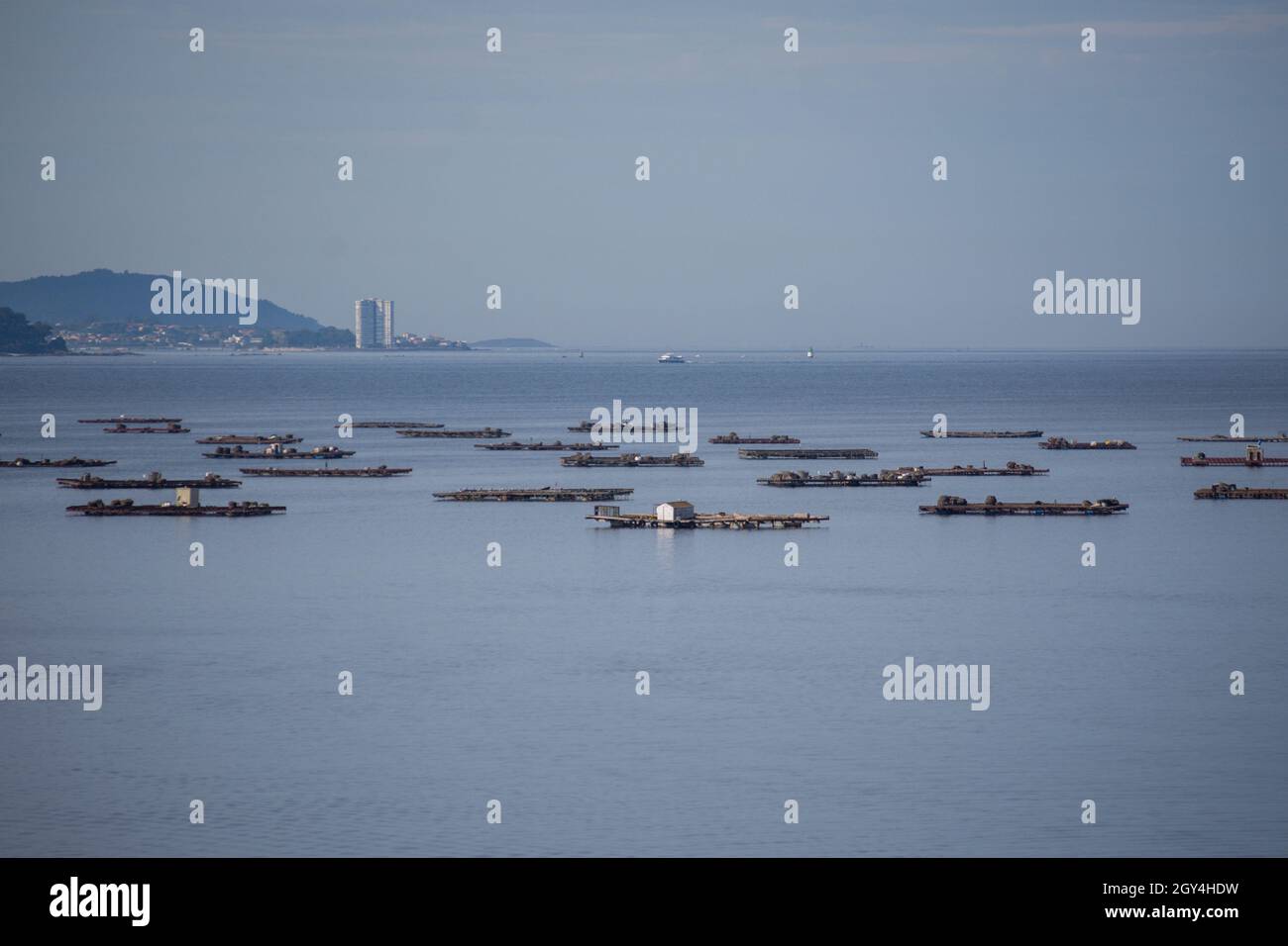 Galician mussel farm hi-res stock photography and images - Alamy