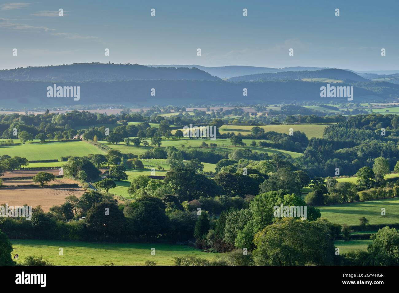 Ape Dale, Wenlock Edge, and Flounder's Folly seen from Ragleth Hill ...