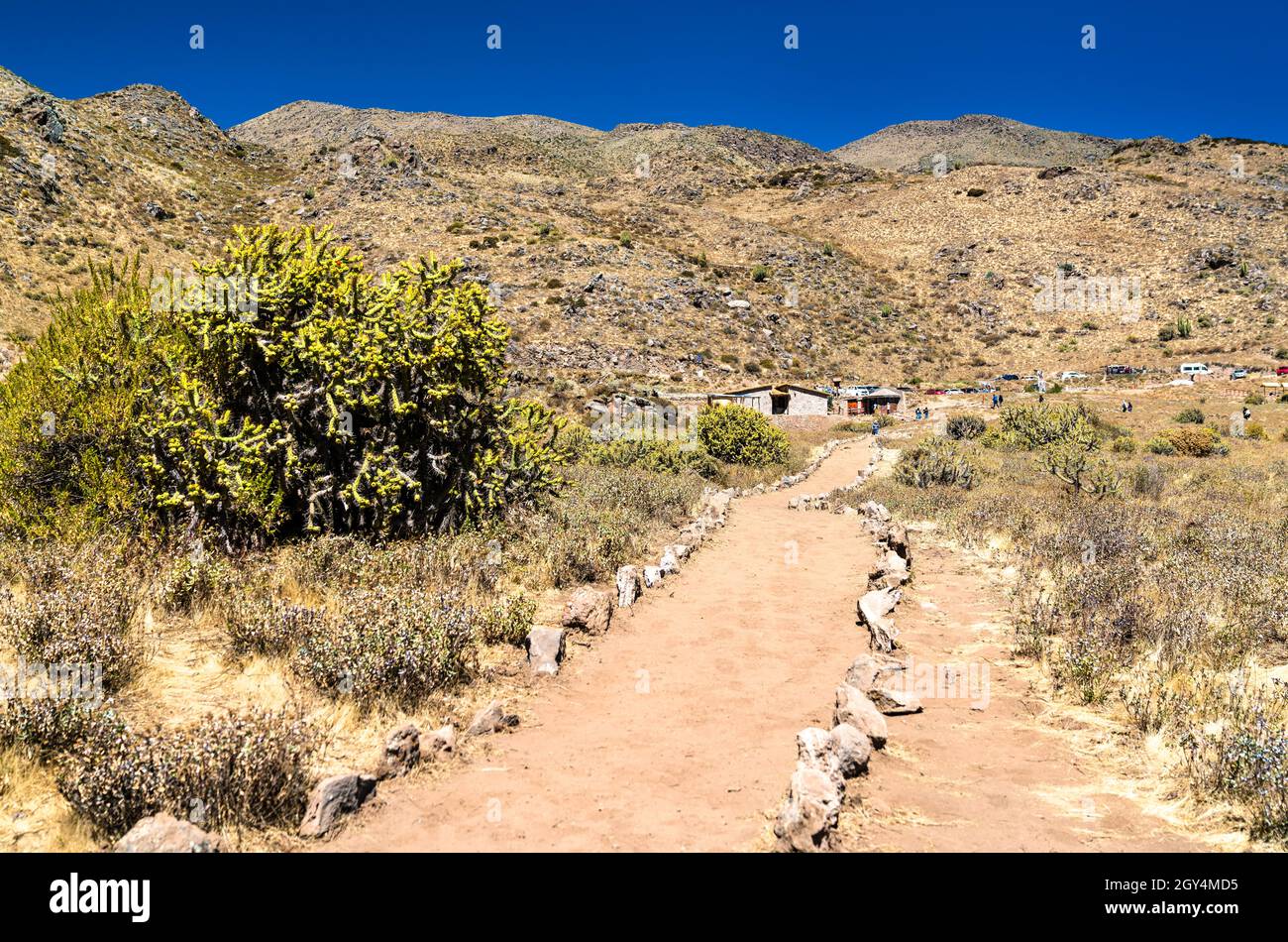 Hiking trail at the Colca Canyon in Peru Stock Photo - Alamy