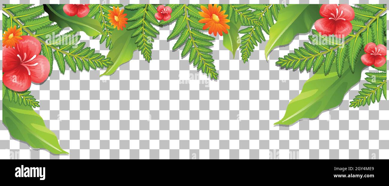 Nature plants frame transparent background illustration Stock Vector ...