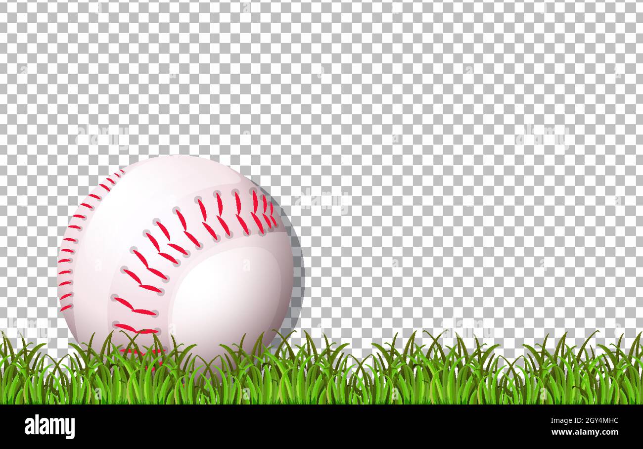 Baseball No Background
