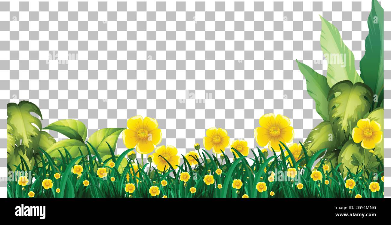 Nature plants frame transparent background illustration Stock Vector ...