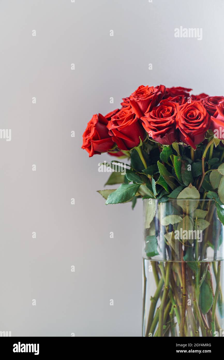 Close up bouquet of fresh dark red roses on neutral background with ...