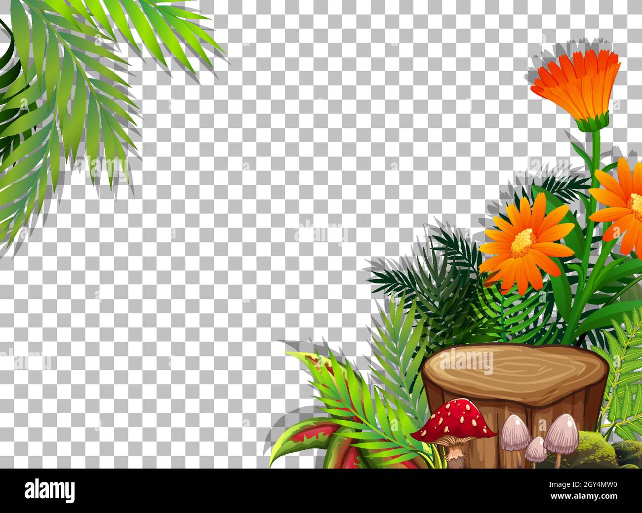 Various tropical leaves on transparent background illustration Stock ...