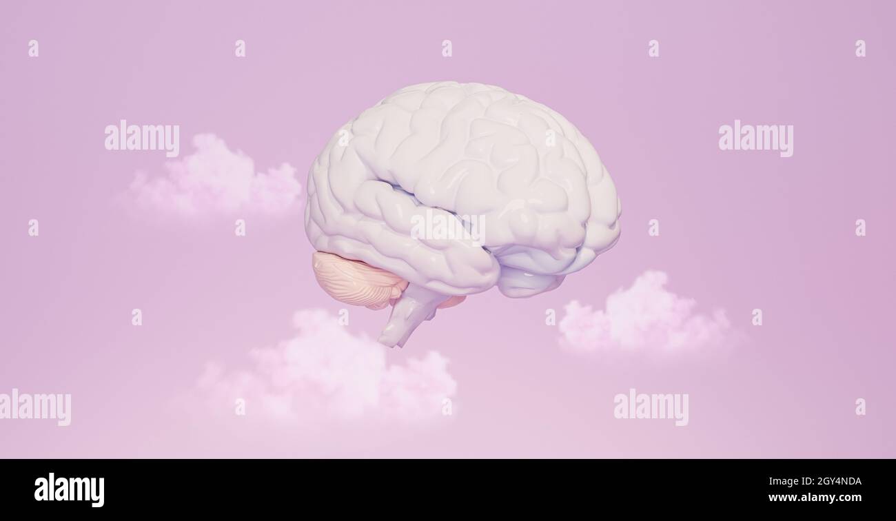Minimal brain and clouds in on pastel background. Human brain ...