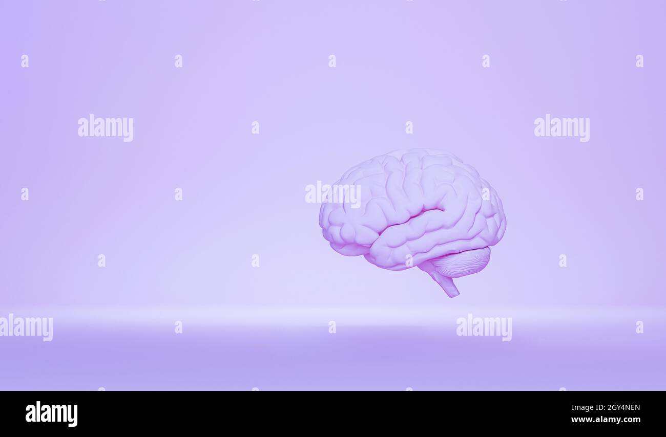 Minimal brain and clouds in on pastel background. Human brain ...
