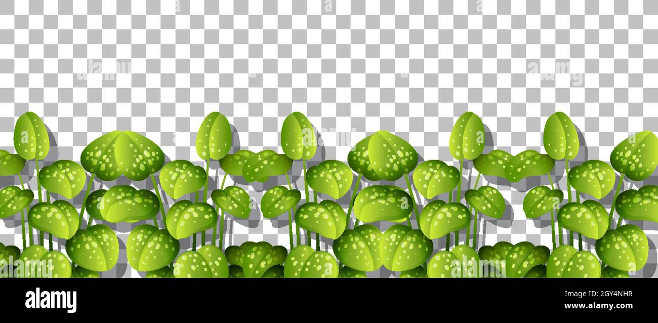 Green plants on transparent background illustration Stock Vector Image ...