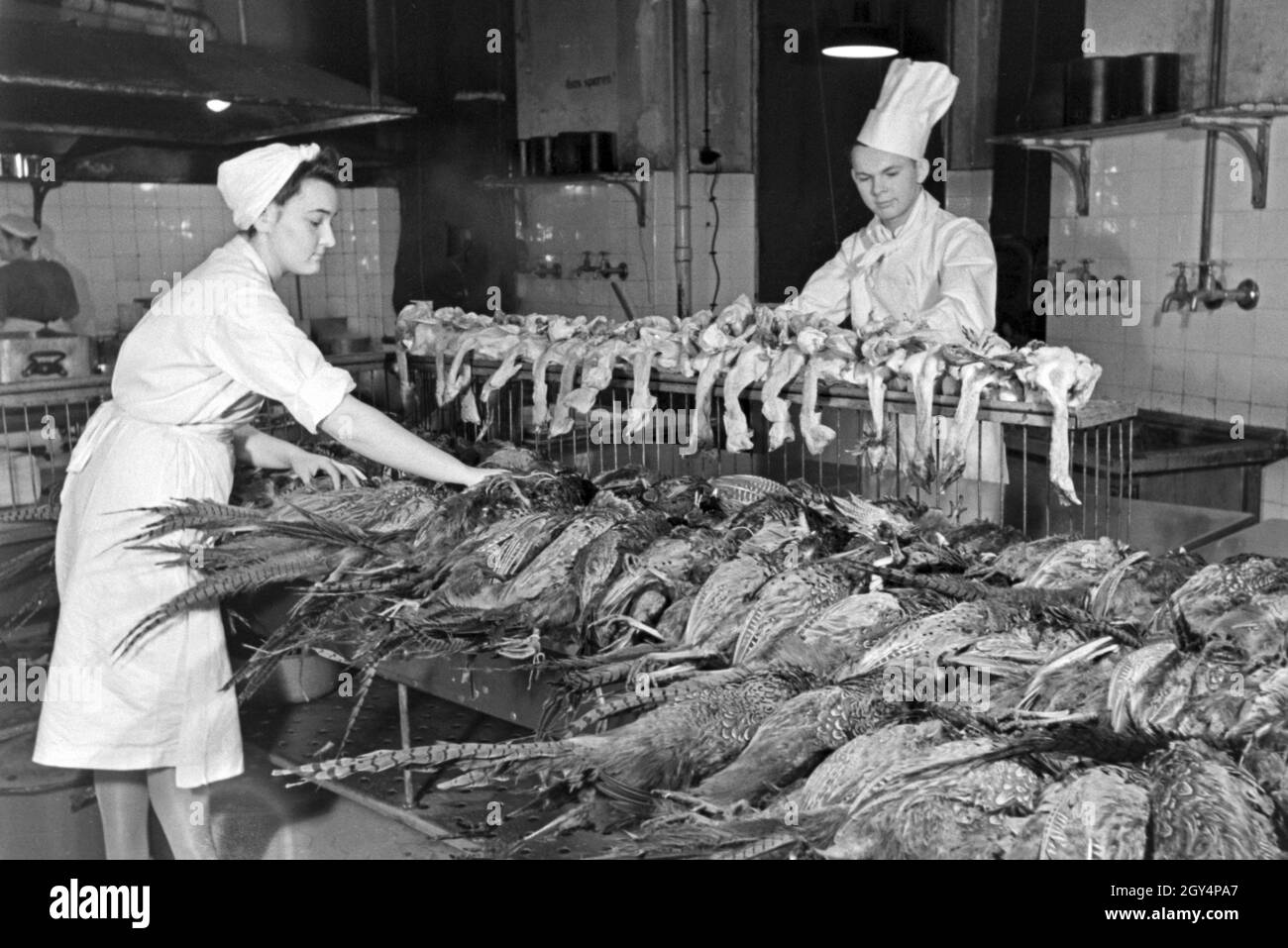 Gastronomieberuf hi-res stock photography and images - Alamy