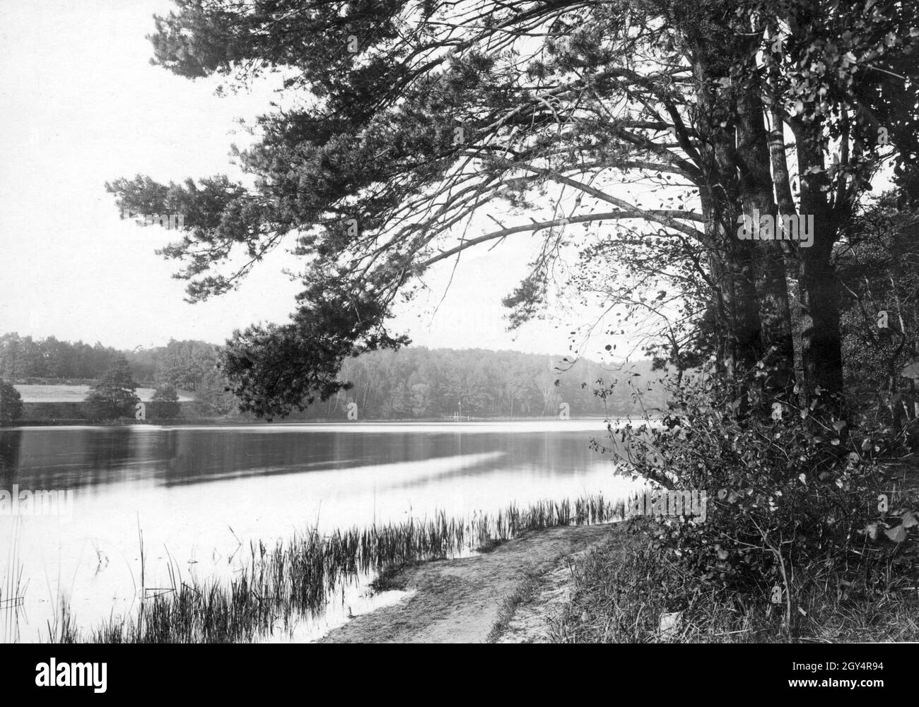 The picture shows the shore of a lake near Grunewald near Berlin. It ...