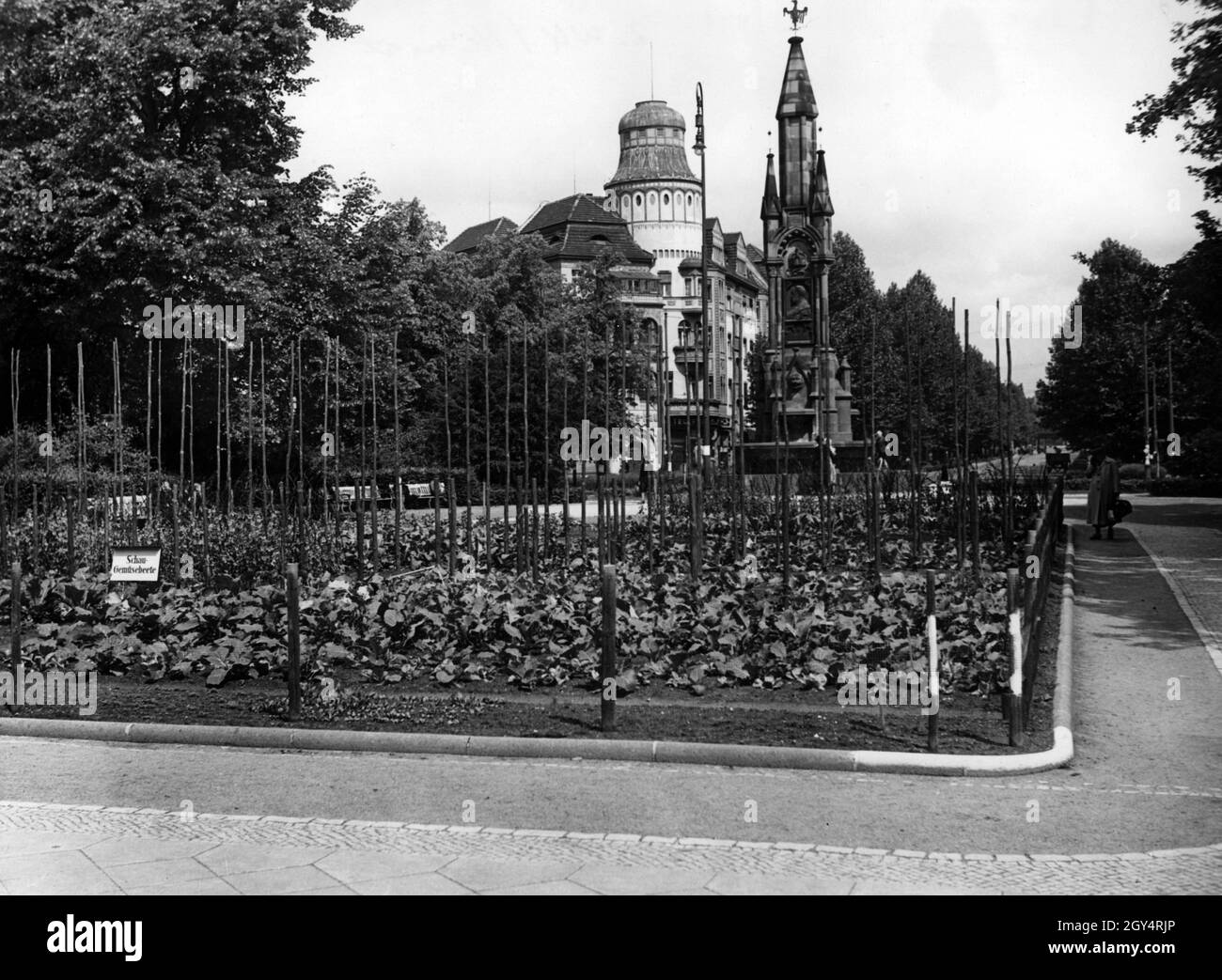 Show growing Black and White Stock Photos & Images - Alamy