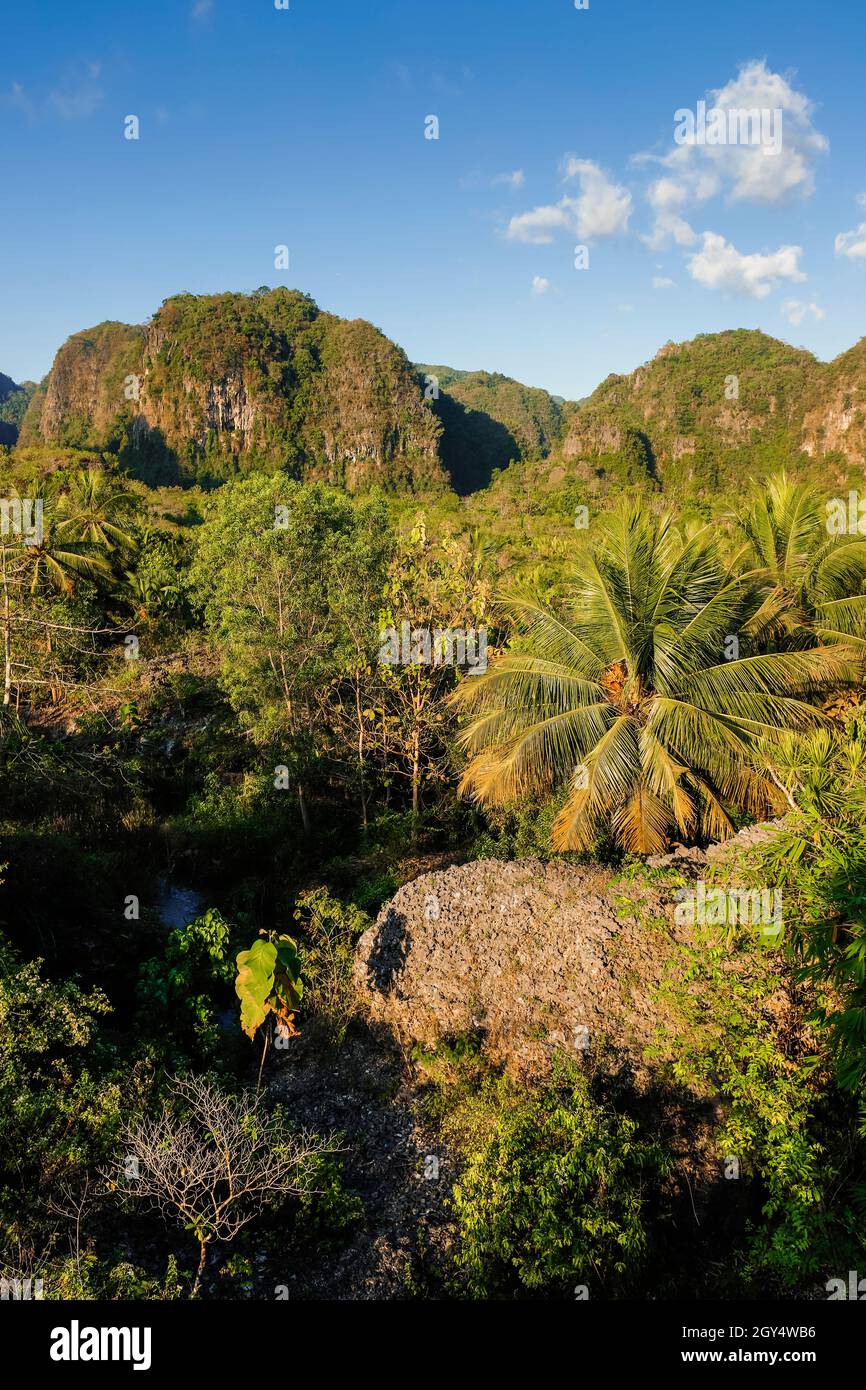 Typical eroded limestone rock landscape with palm trees in this scenic ...