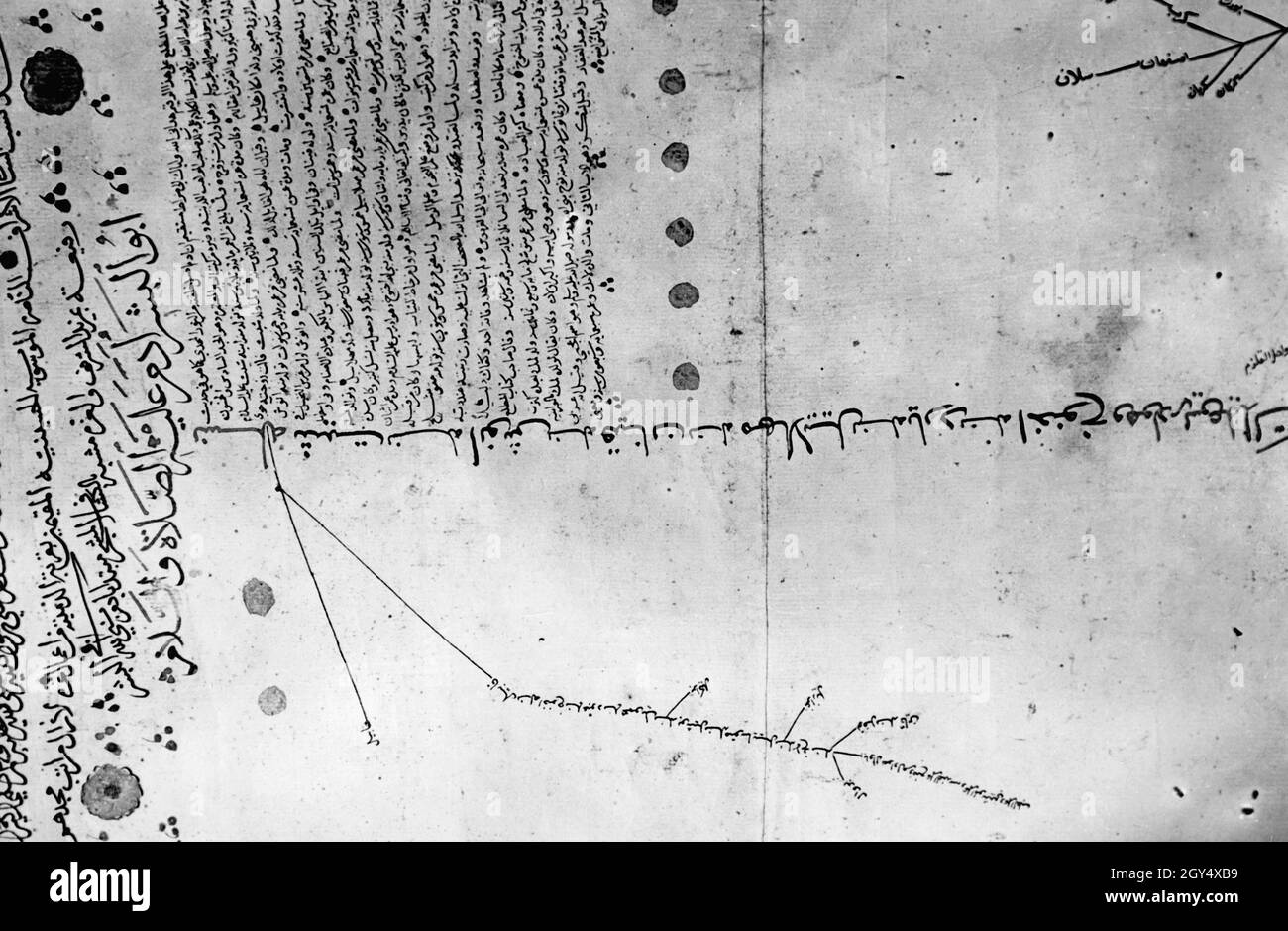 Written down beginning of the family tree with Adam and Eve from ...