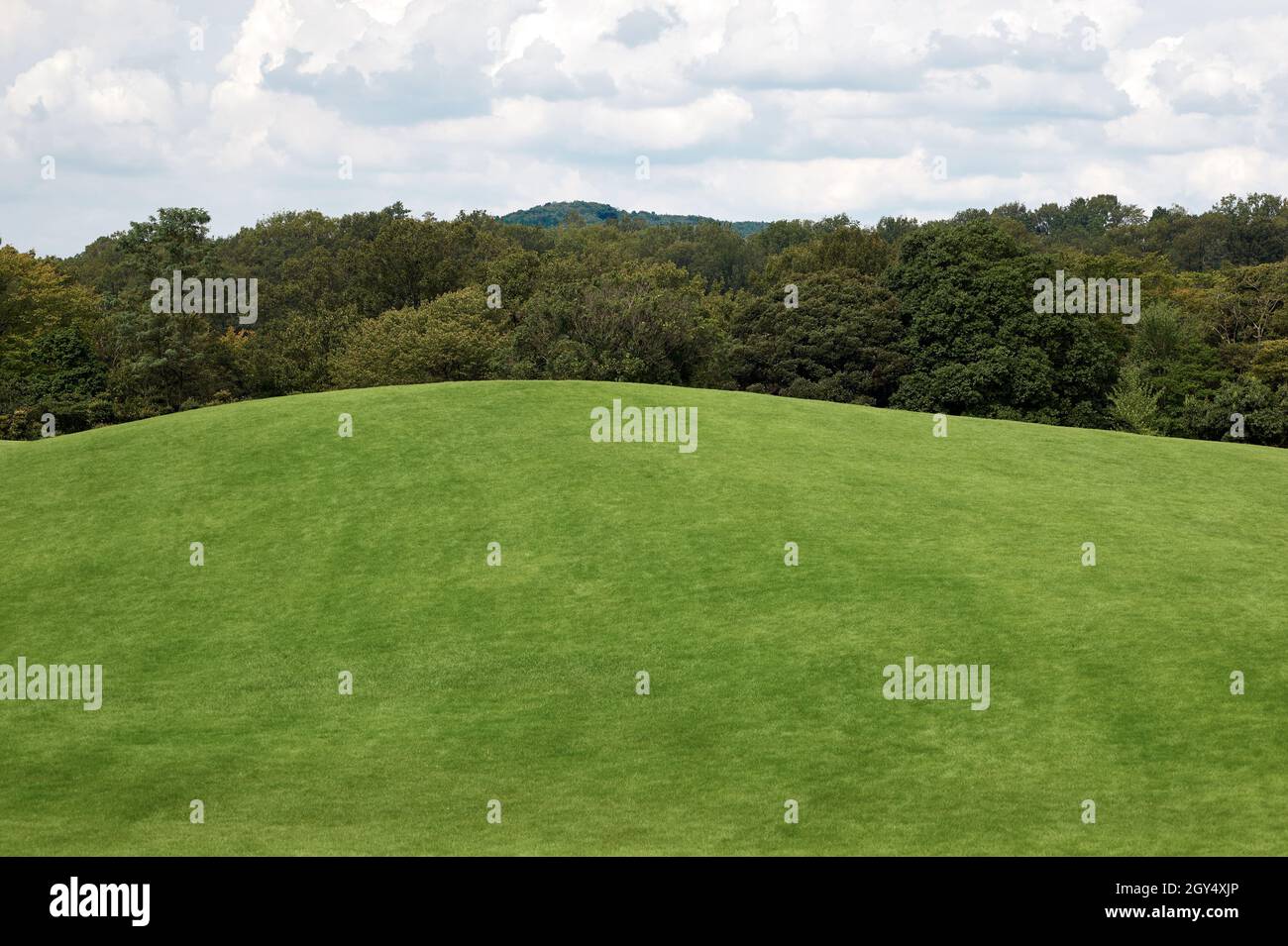 Hill field hi-res stock photography and images - Alamy