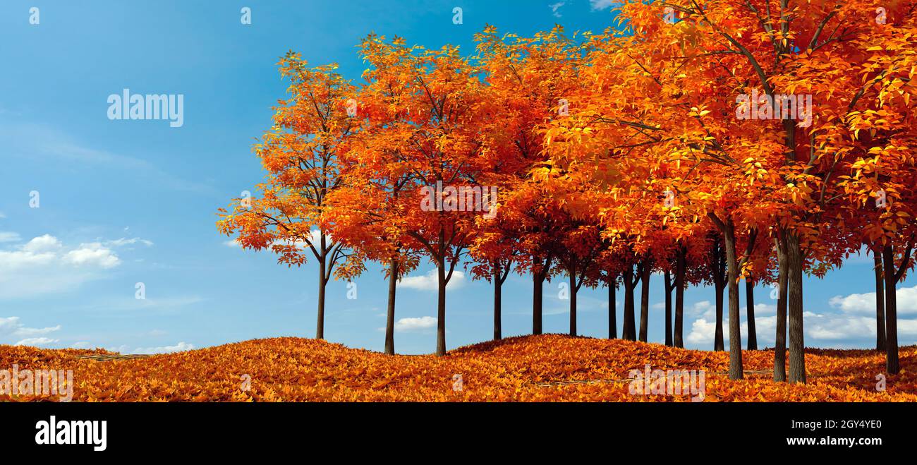 Autumn forest, leaves fall in ground landscape on autumnal background ...