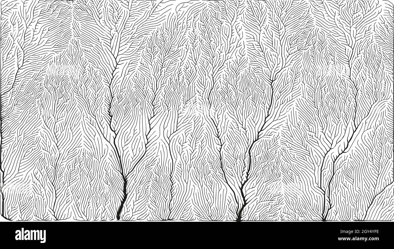 Growth pattern. Generative branching structure. Organic net of vessels ...