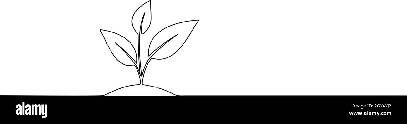 continuous line drawing of seedling on ground, line art vector ...