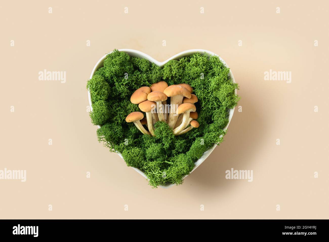 Honey mushrooms with moss in plate shaped as heart on natural beige background. Concept love ...