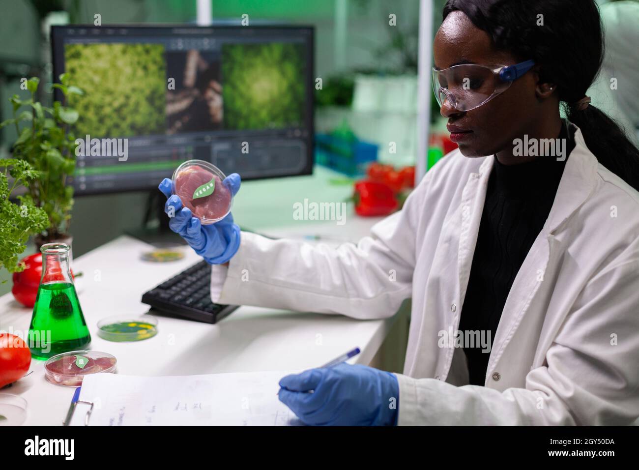 African american researcher looking at petri dish with vegan beef ...