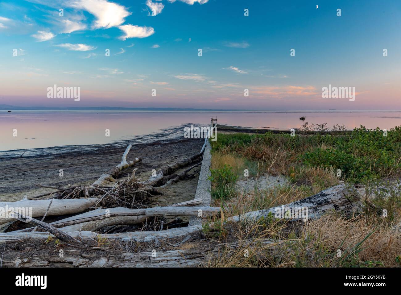 Coastal breakwater with broken logs after the typhoon Stock Photo - Alamy