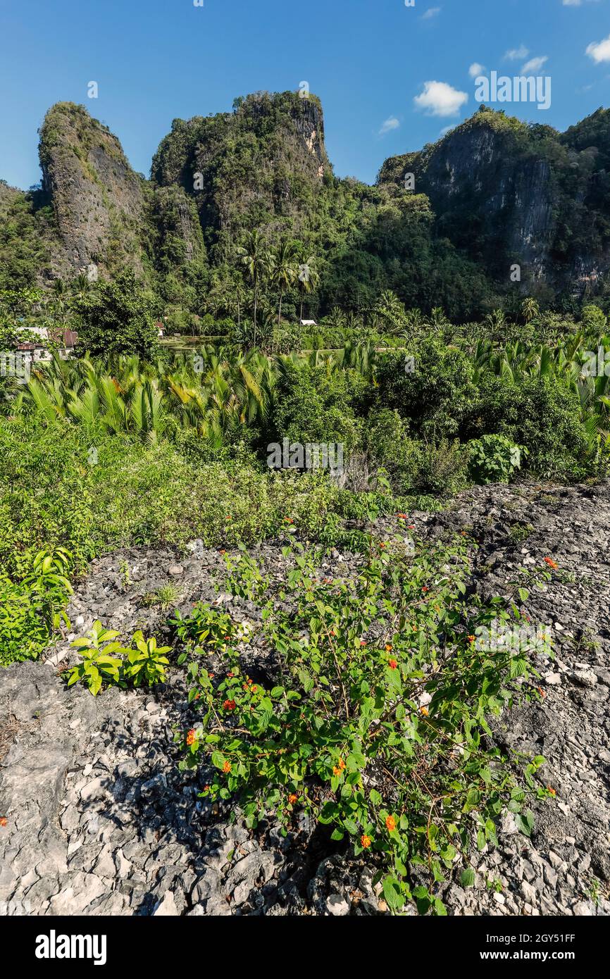 Limestone rocks in this UNESCO listed karst region - world's second ...