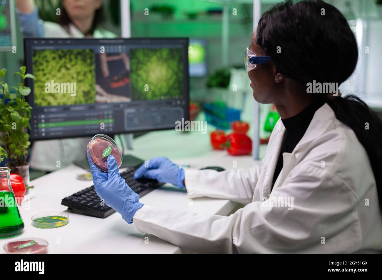 African american scientist researcher holding petri dish with vegan ...