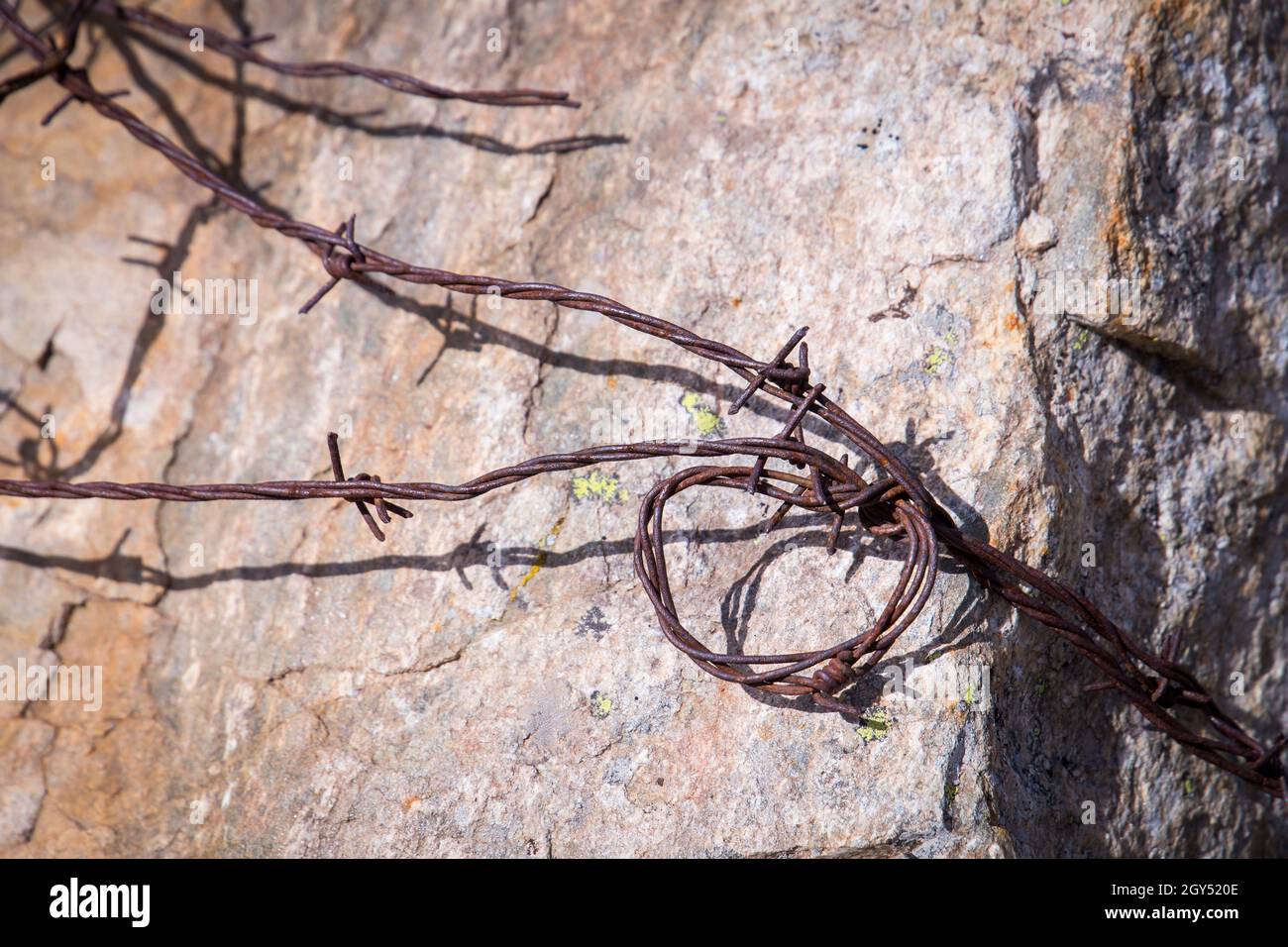 Deadly wire hi-res stock photography and images - Alamy