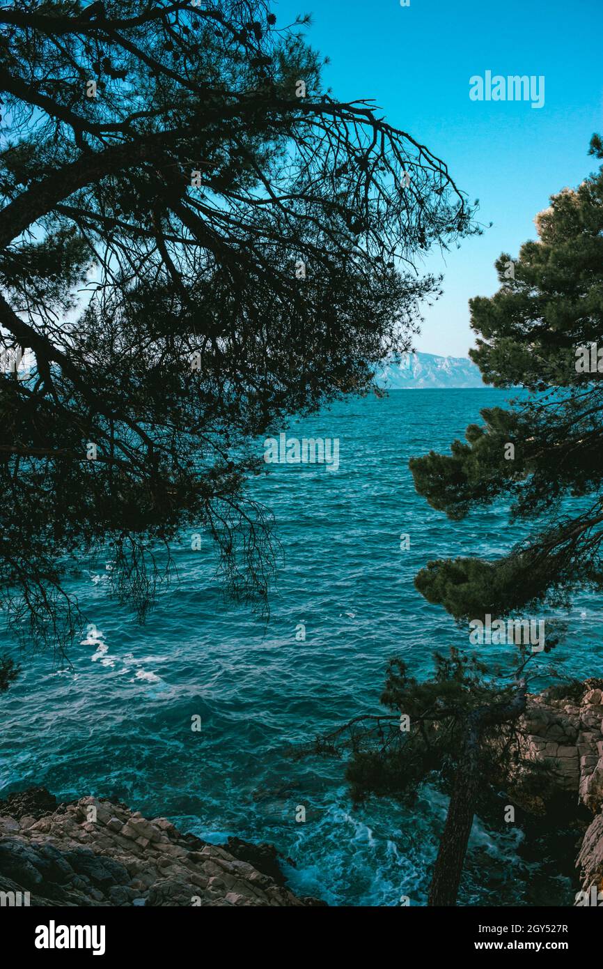 Vertical shot of a blue sea with coastline trees and rocky coast under ...