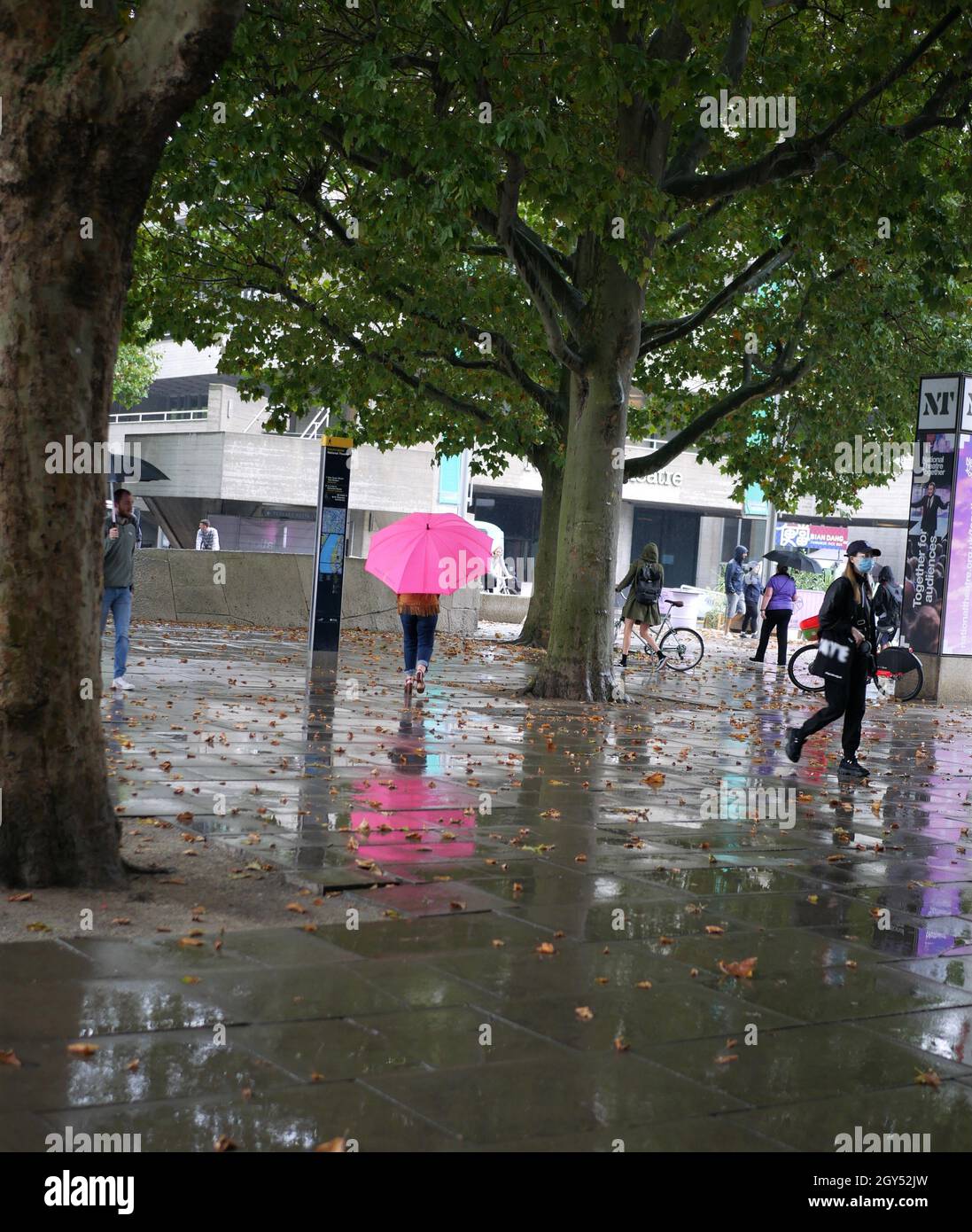 Lady with pink umbrella casting a pink reflection in the rain along the ...