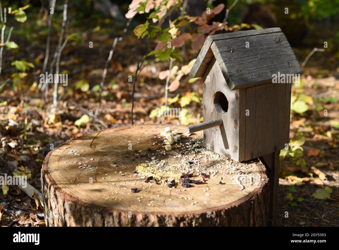 wooden birdhouse with food for birds Stock Photo - Alamy