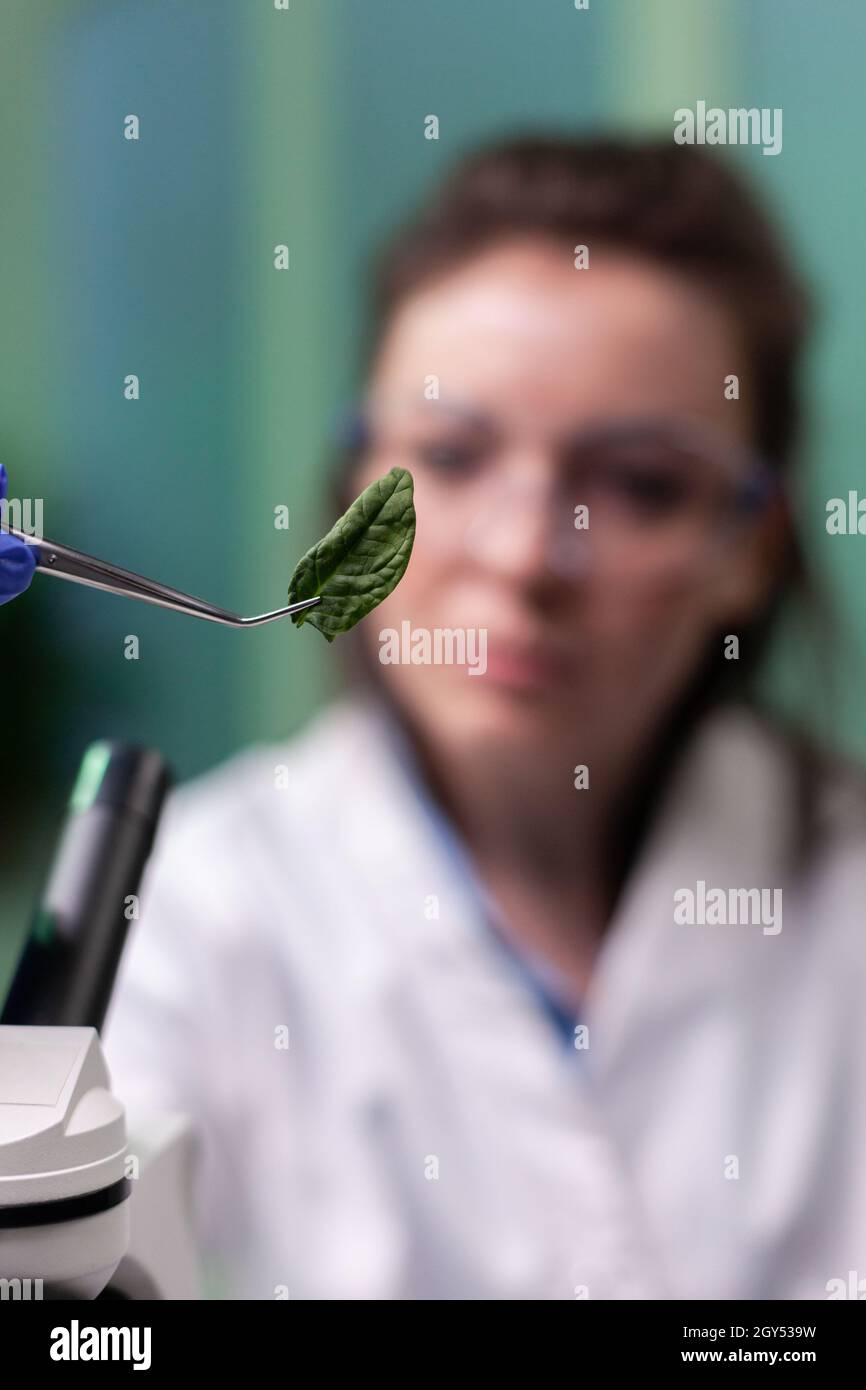 Biologist researcher woman holding leaf sample analyzing genetically ...