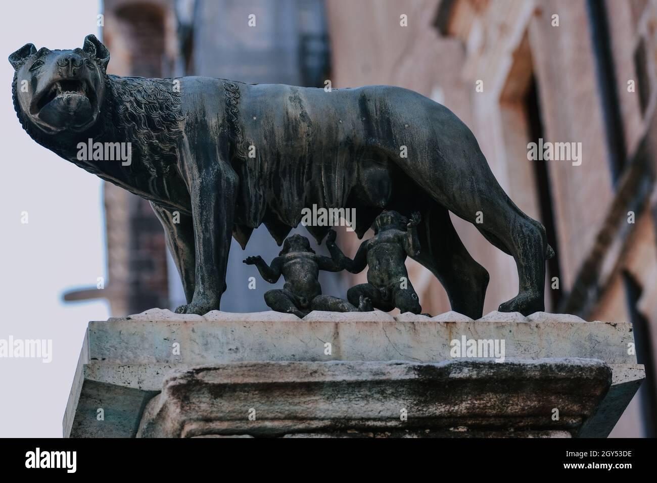 Bronze sculpture of Capitoline Wolf in Rome, Italy Stock Photo - Alamy