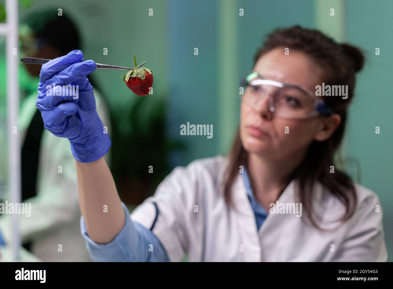 Biologist woman doctor holding organic strawberry working at gmo ...