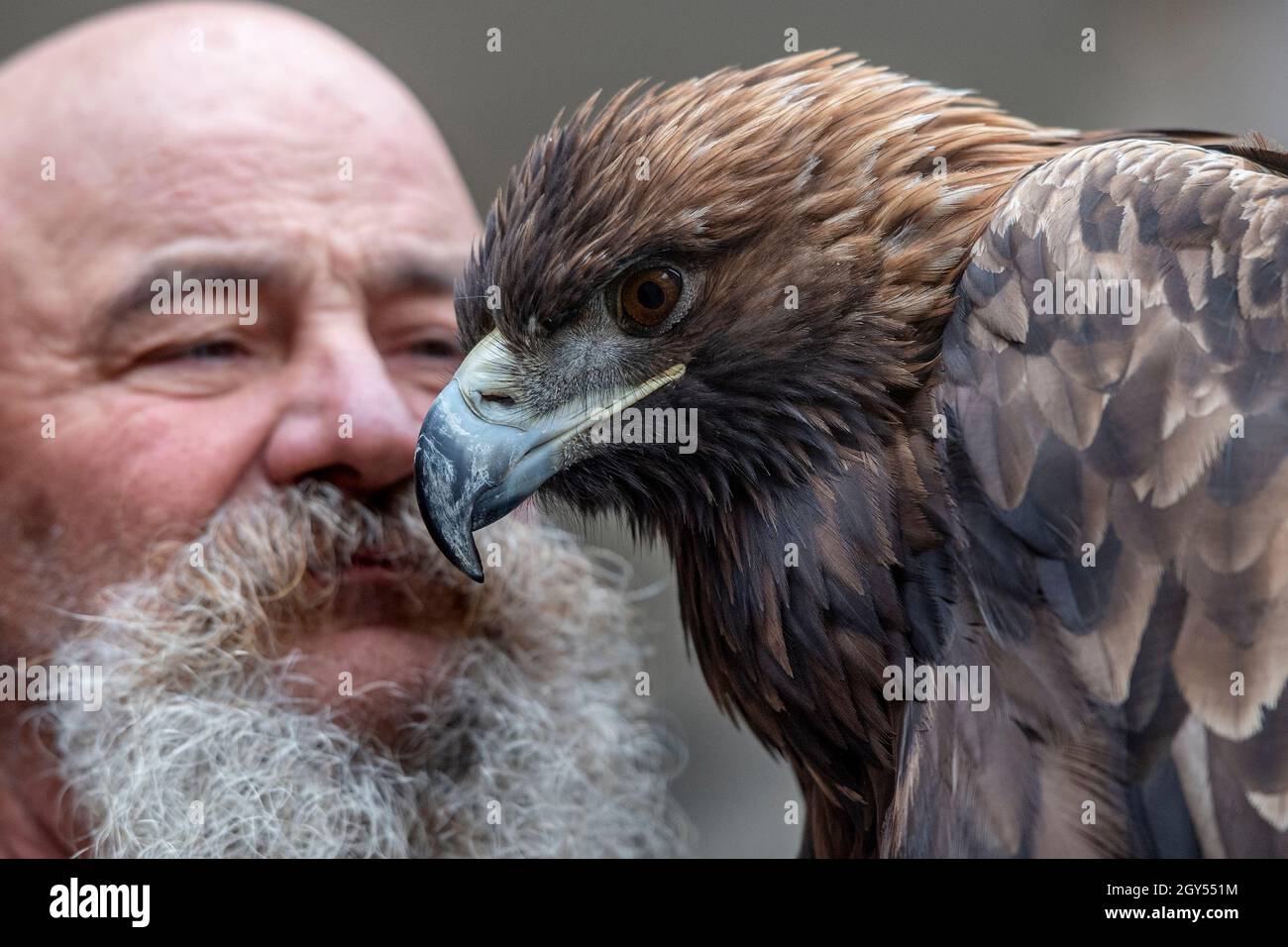 The 54th international falconry meeting hi-res stock photography and ...