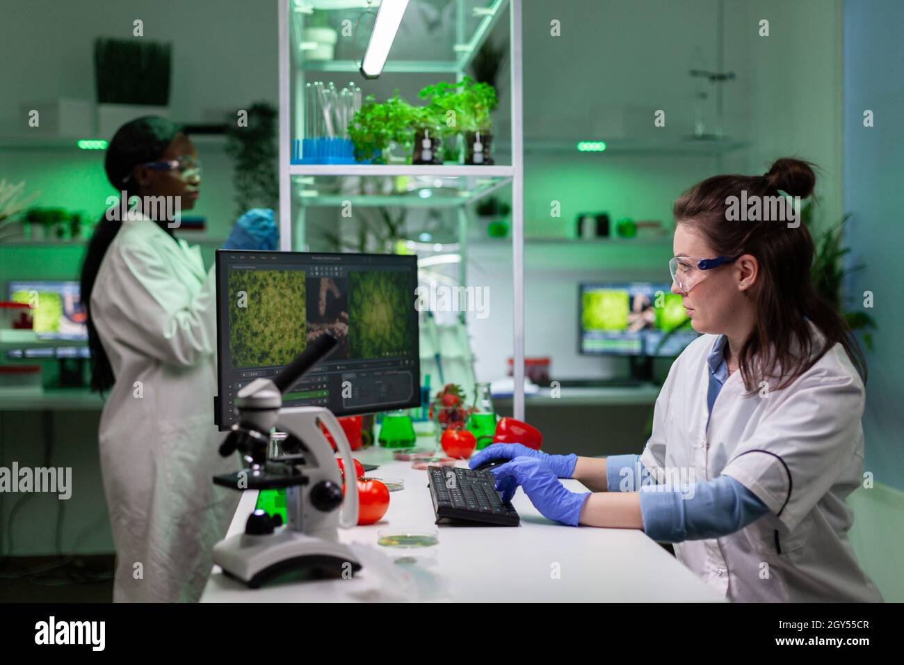 Biologist researcher woman analyzing genetically modified plants on ...