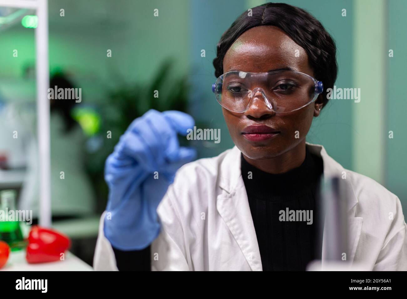 Closeup of african american biochemist woman holding green leaf sample ...
