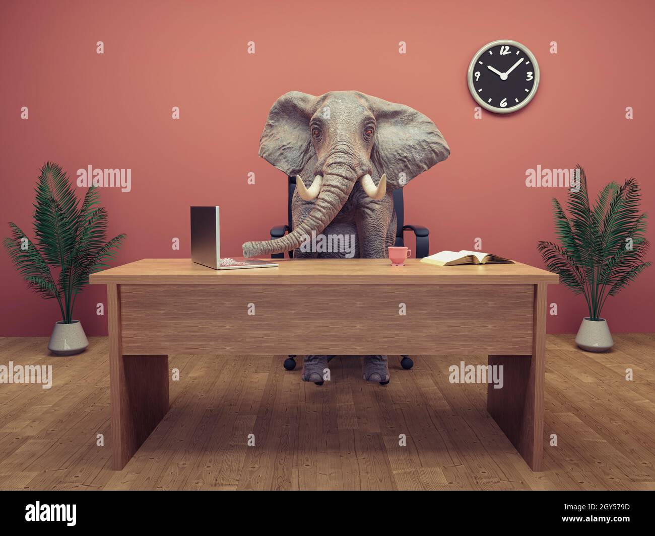 Corporate elephant hi-res stock photography and images - Alamy