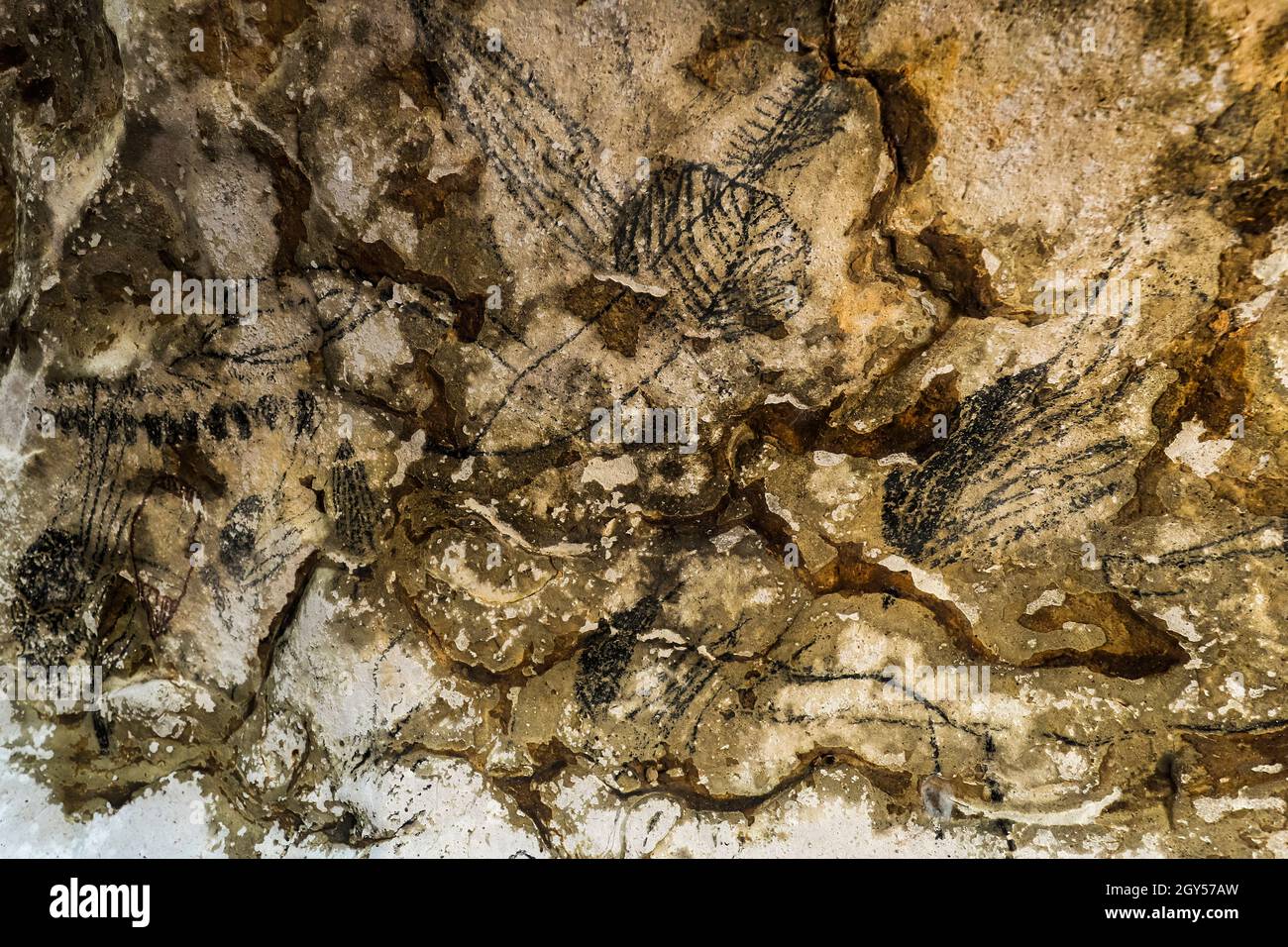 Maros indonesia cave hi-res stock photography and images - Alamy