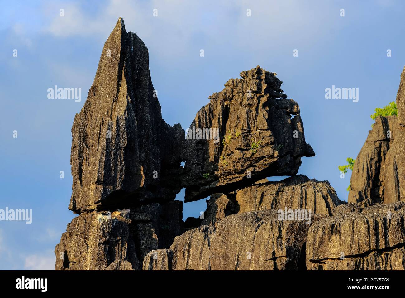 Cap rocks on very eroded strata of limestone rock outcrop in this ...