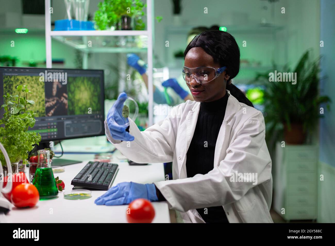 African american scientist holding petri dish with green leaf sample ...