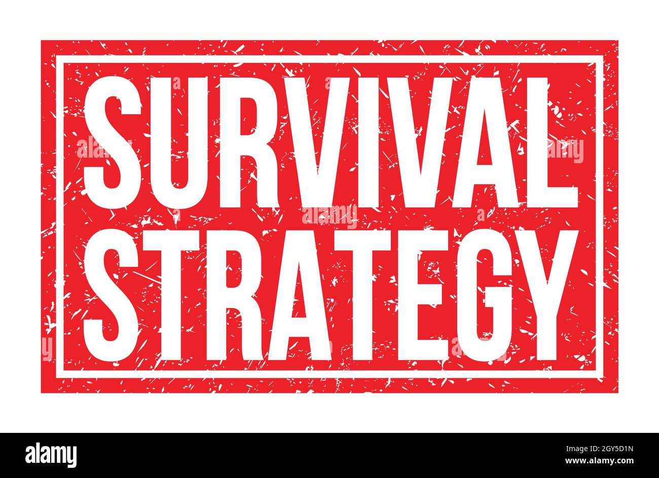 SURVIVAL STRATEGY, words written on red rectangle stamp sign Stock ...