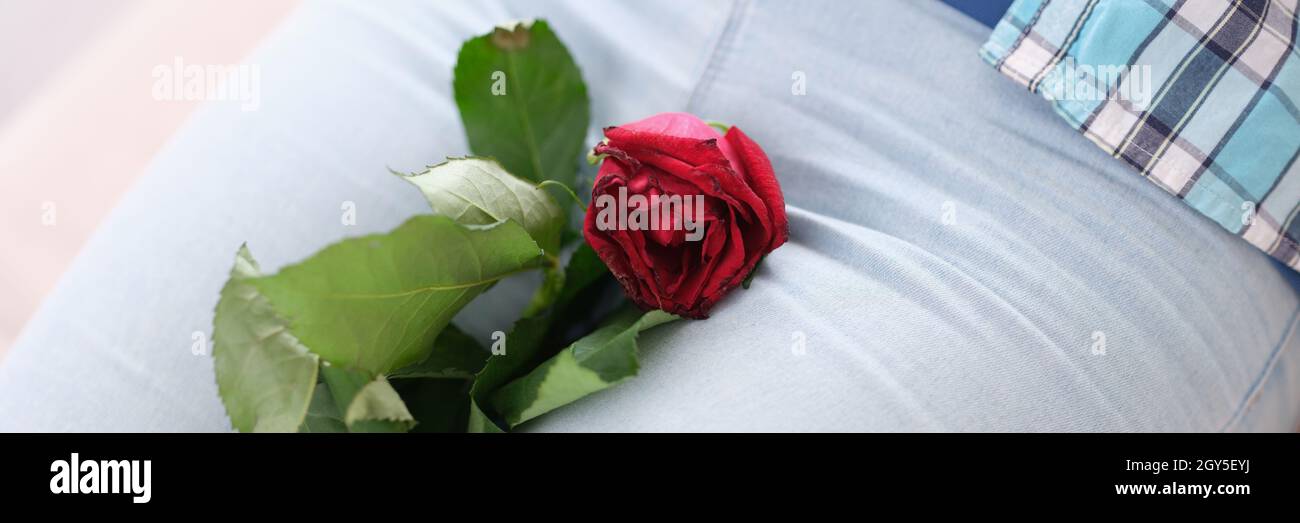 Woman has withered rose in crotch between legs Stock Photo - Alamy