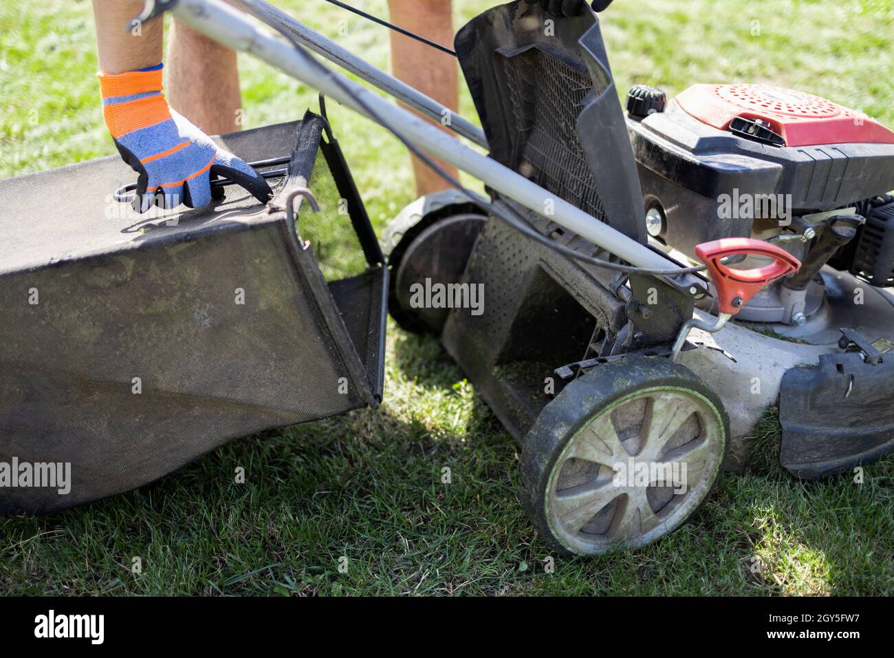 Male hand puts empty hi-res stock photography and images - Alamy