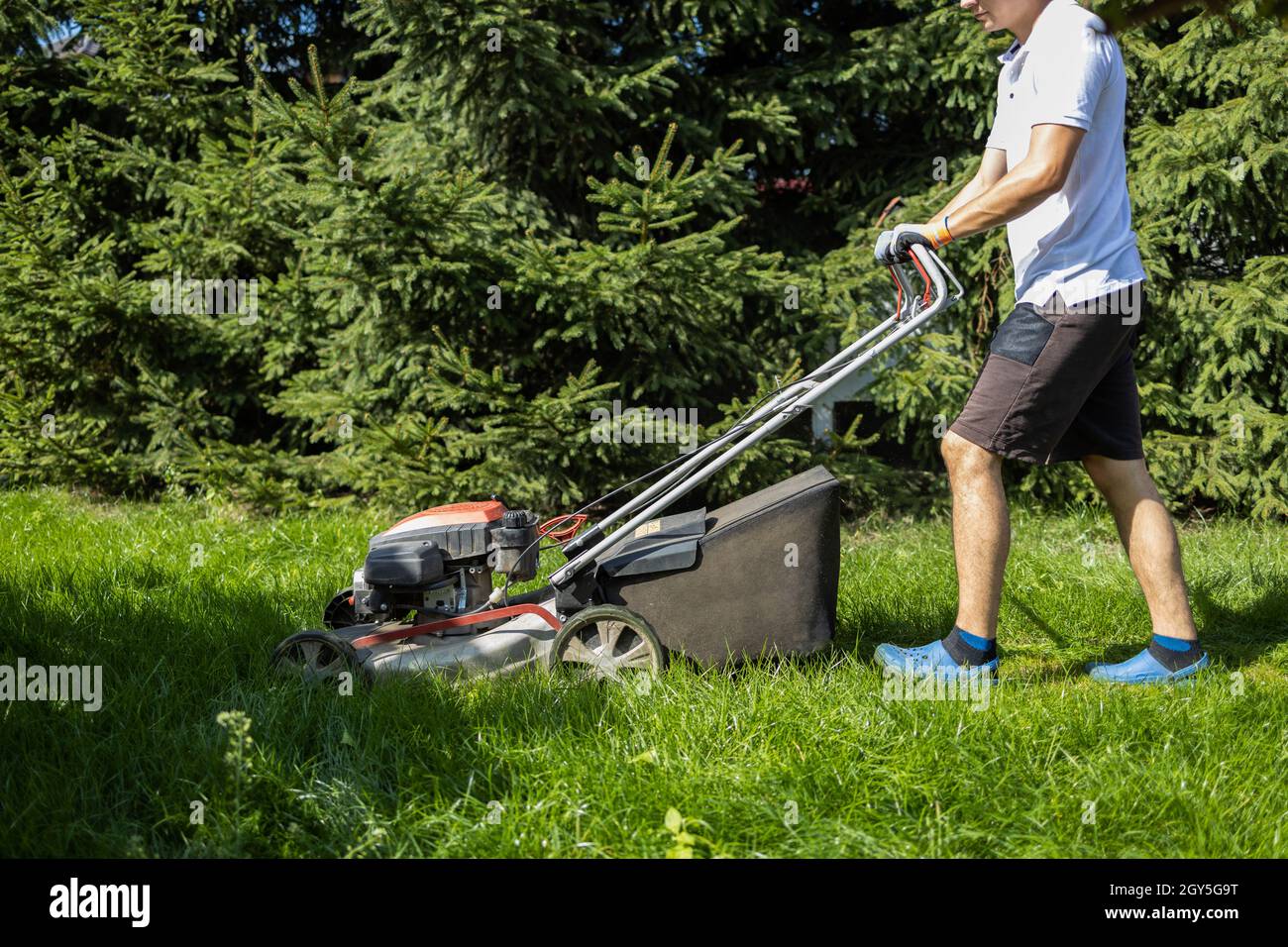 Grass in the yard hi-res stock photography and images - Alamy