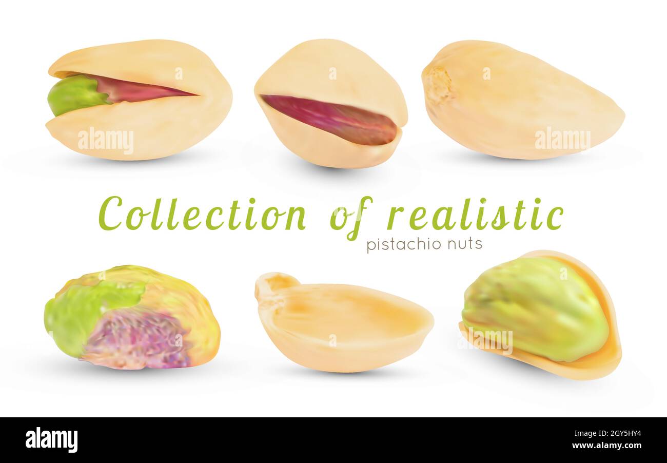 Vector realistic pistachio nuts with dry 3d shell Stock Vector Image ...
