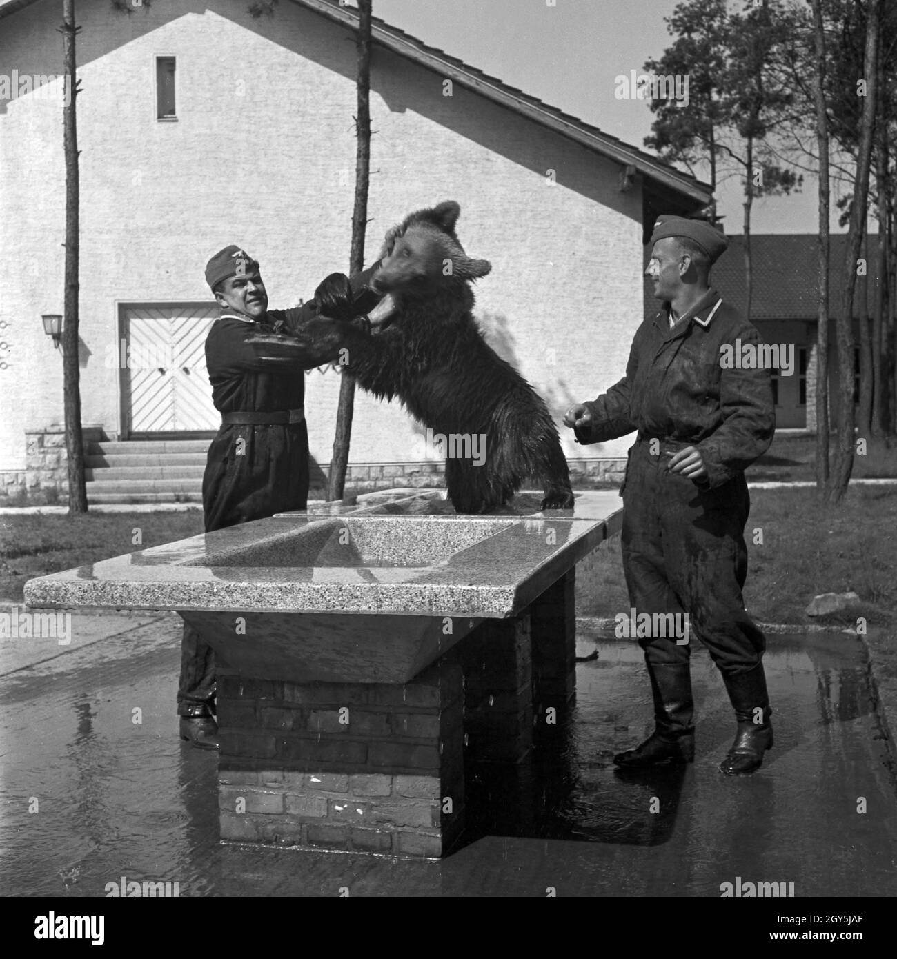 Original-Bildunterschrift: Das lebende Wappentier - ein von klein auf ...